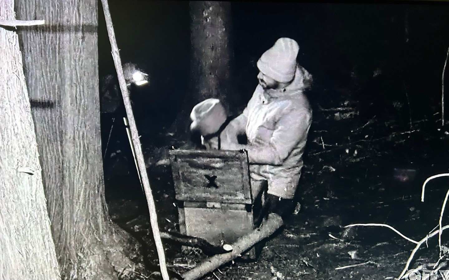 Extracted: Alone In The Wild – Watch. Read. Write.